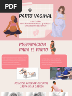 Brandt Andrews | PDF | Partería | Parto