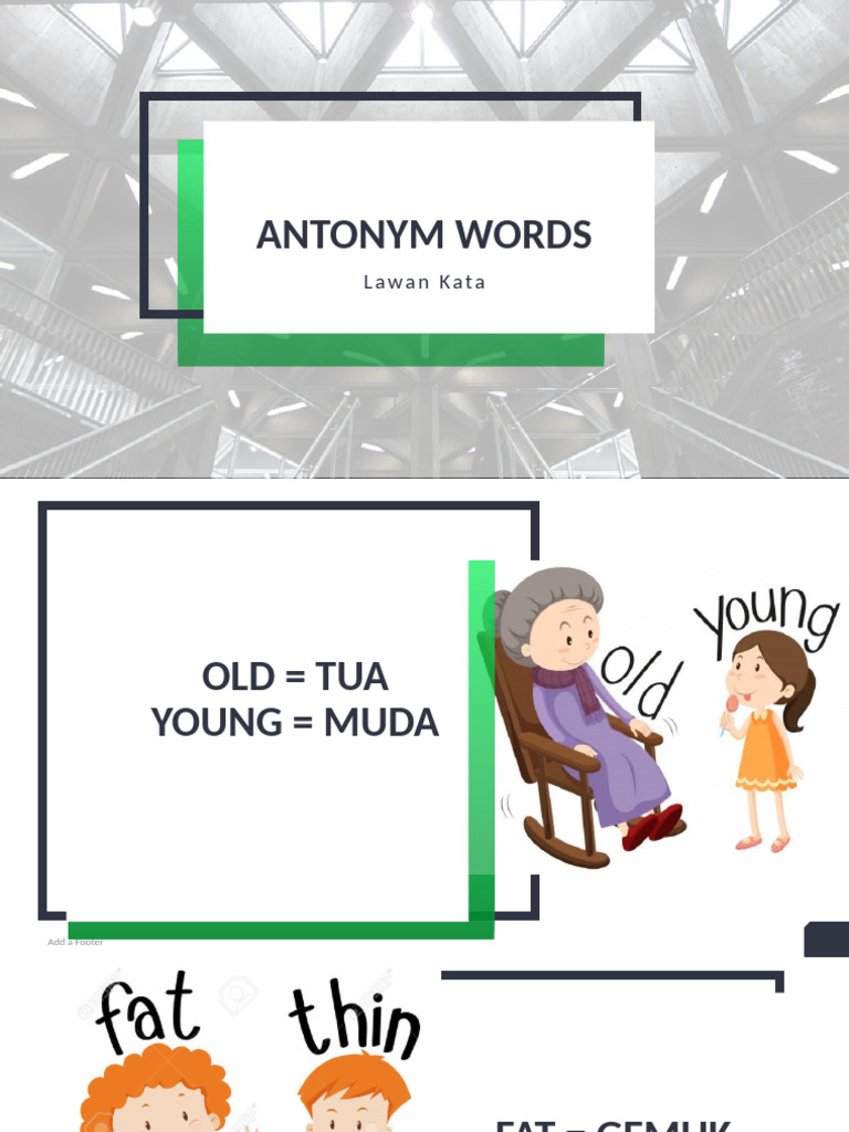 Antonym Words | PDF