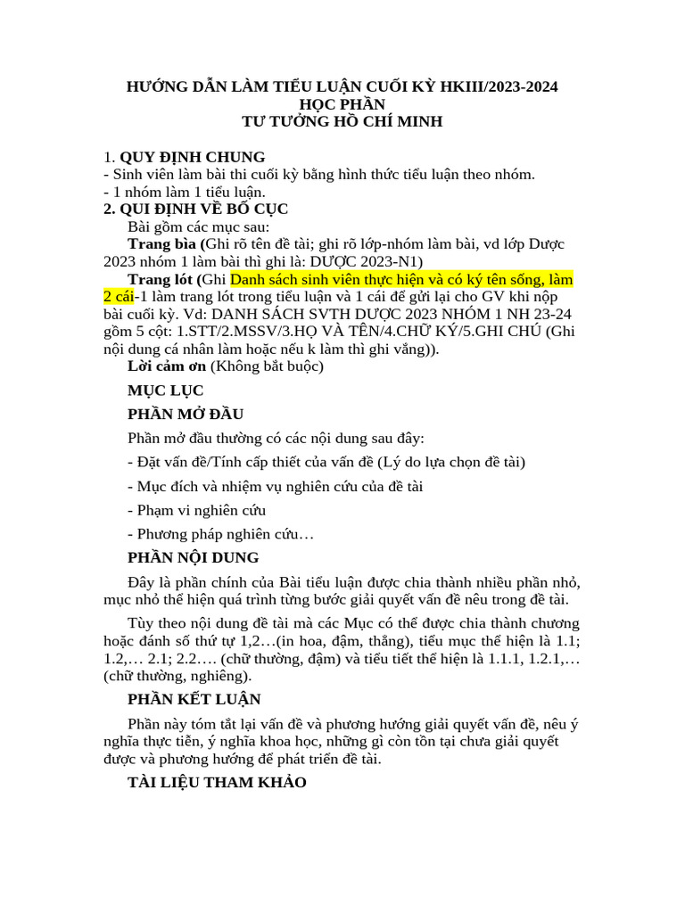 Hd Tieu Luan Cuoi Ky Tt Hcm | PDF