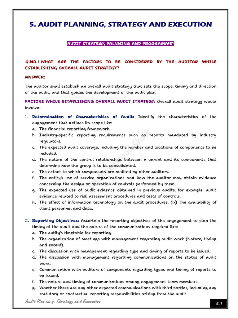 05 Audit Planning, Strategy and Execution | PDF