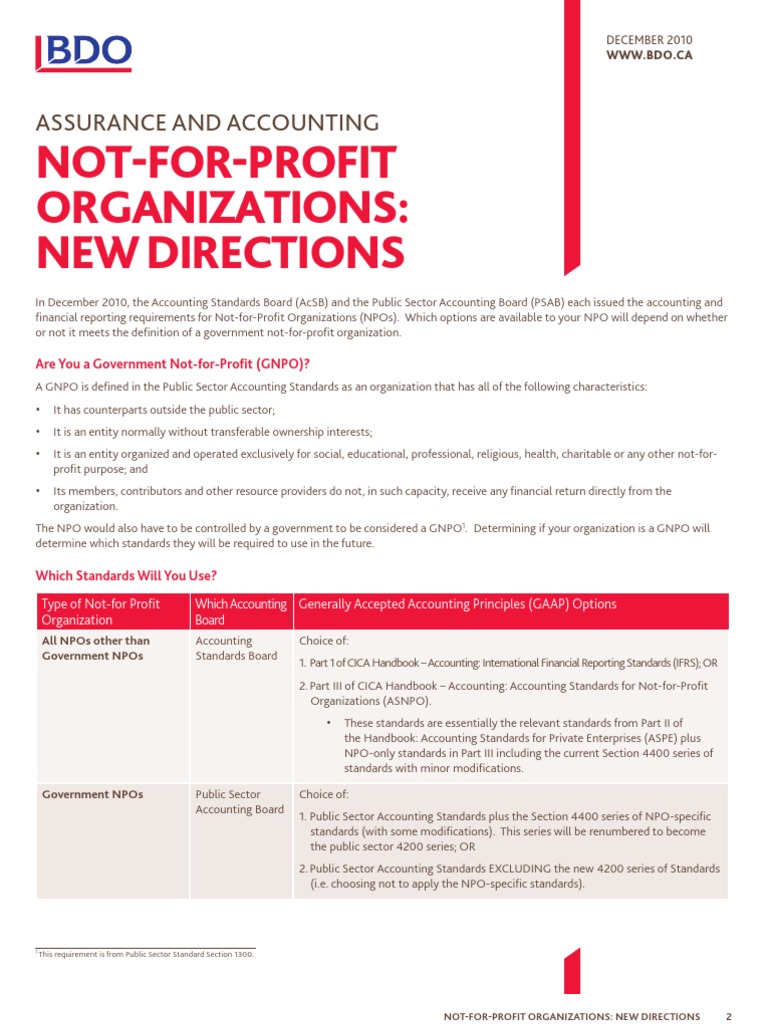 NPO Standards | PDF | Nonprofit Organization | Financial Statement