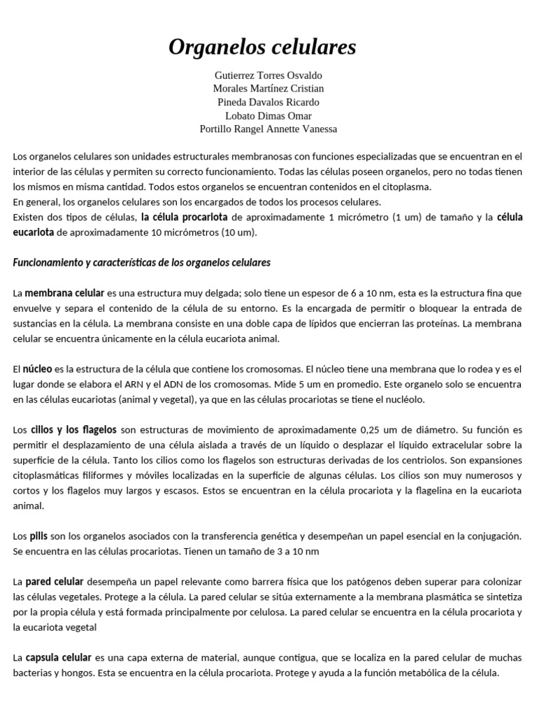 Funciones y tipos de organelos celulares | PDF | Biología Celular ...