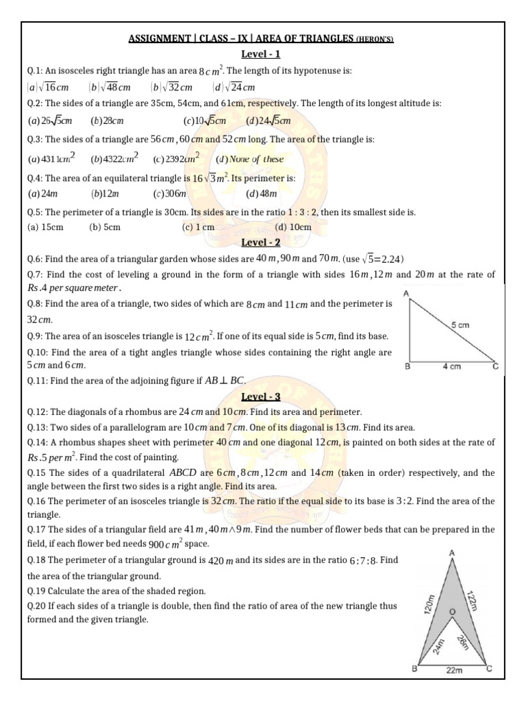 Class IX Maths Heron's Formula Assignment-Levels | PDF | Area | Triangle