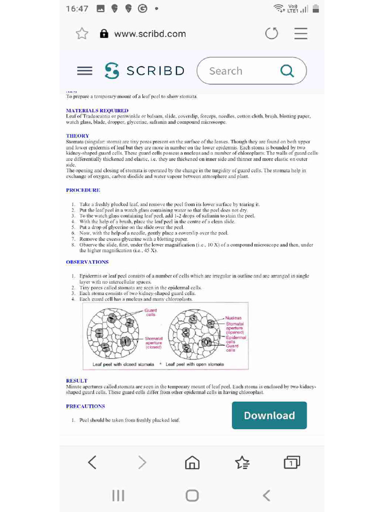 10 Cbse SC Infocus | PDF