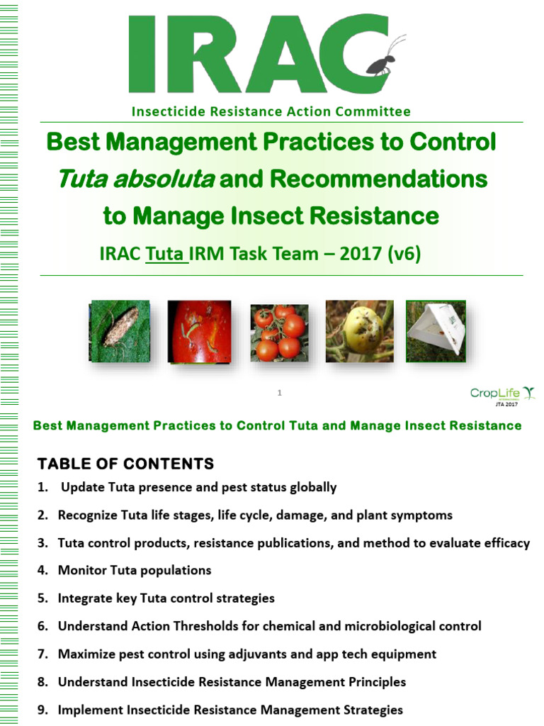 2017 Irac Tuta Irm BMP v6 | PDF | Pupa