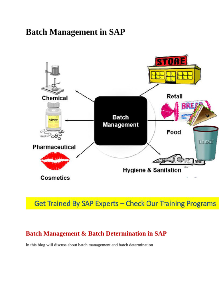 Batch Management in SAP | PDF