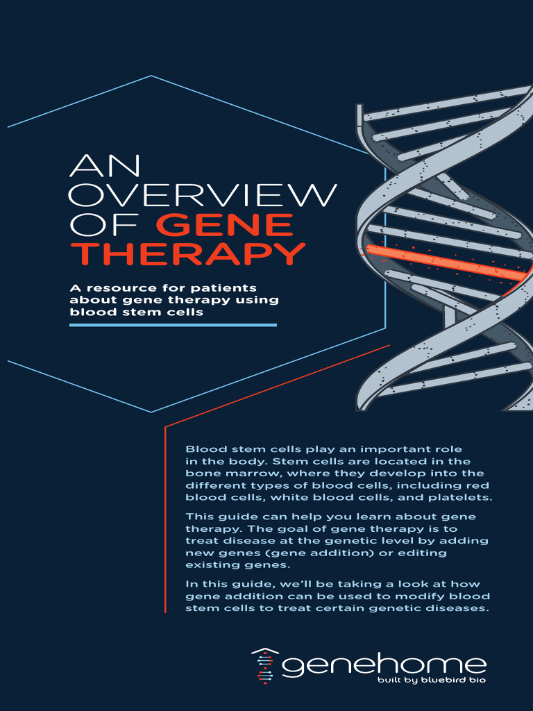 GT-US-00016 - Gene Addition Overview Trifold | PDF | Gene Therapy ...