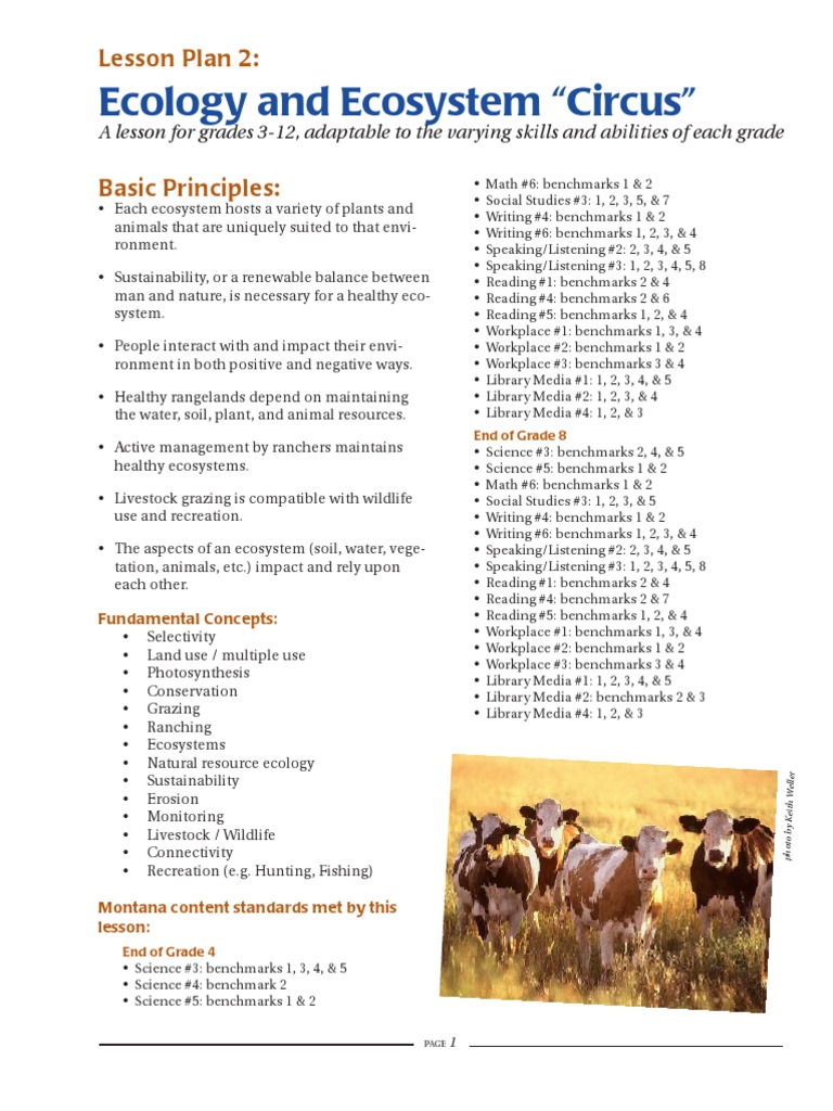 Montana Ecology Education Lesson Plan 2: Ecology and Ecosystem Grades 3 ...