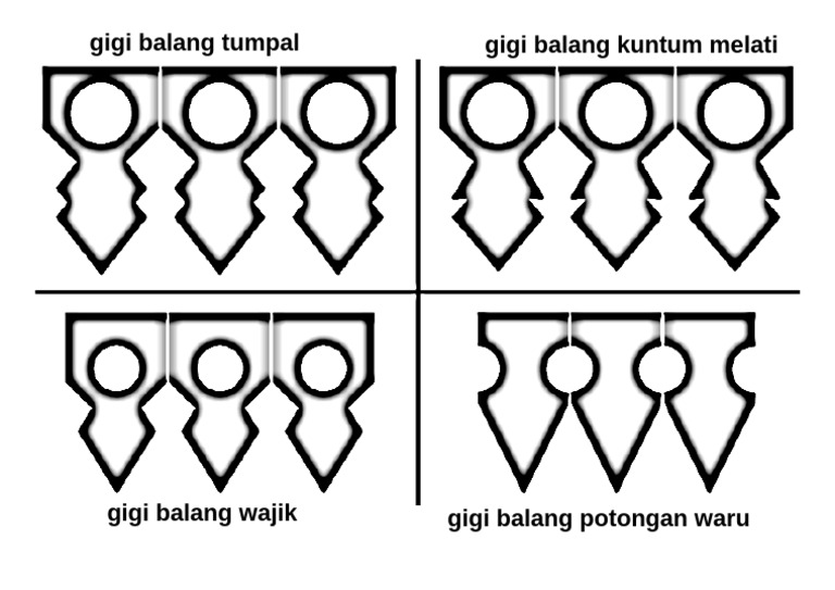 Gigi Balang Mewarnai | PDF