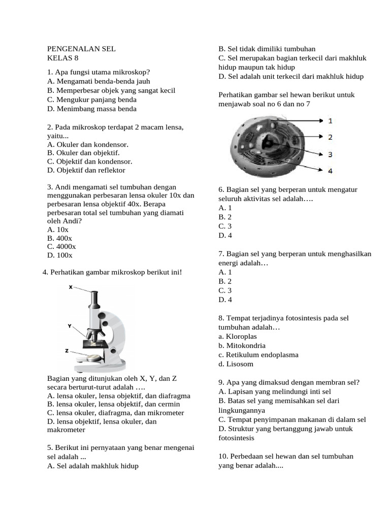 Pengenalan Sel | PDF