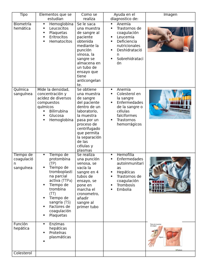 Higiene 2 | PDF | Sangre | Coagulación