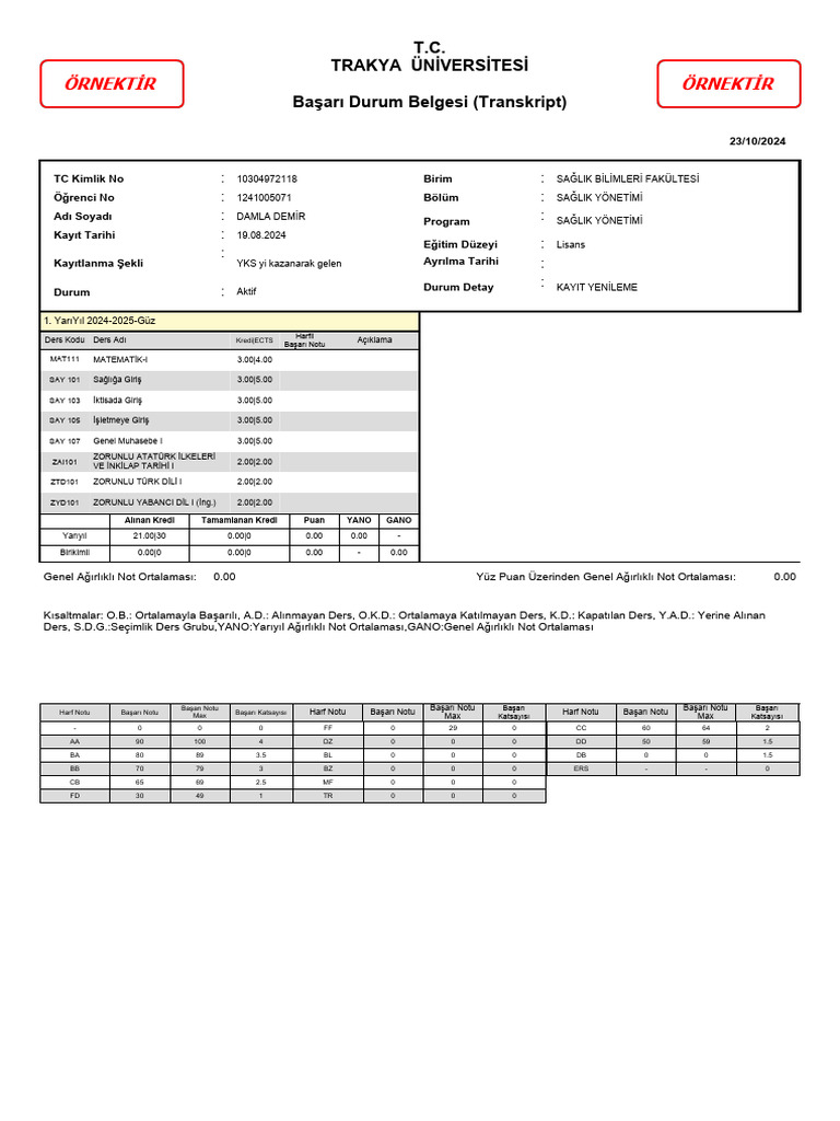 Transkript - 10 - 23 - 2024 3 - 42 - 46 PM | PDF