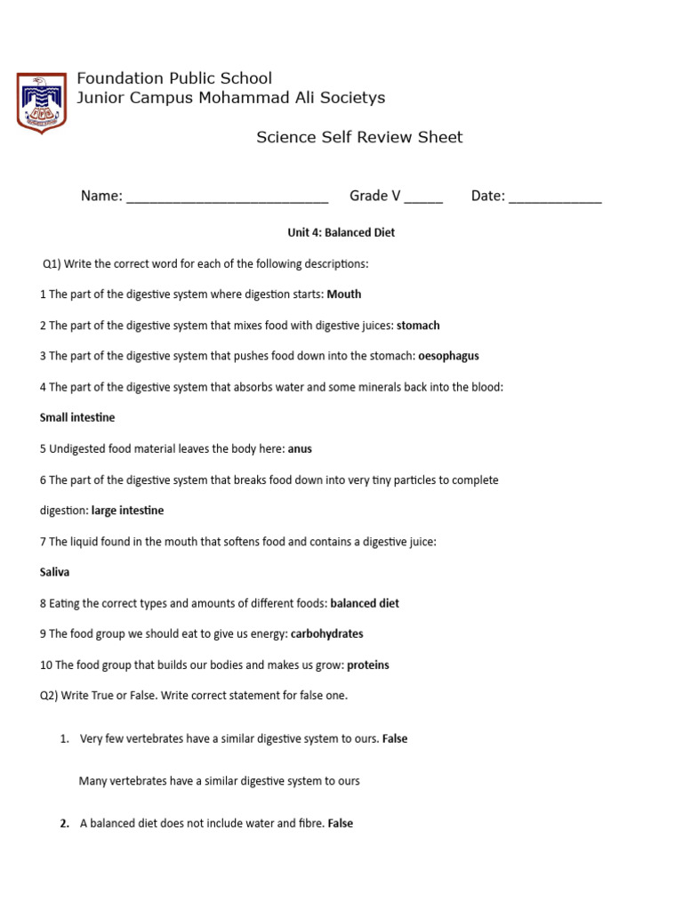 Digestive System Review for Grade V | PDF | Digestion | Foods
