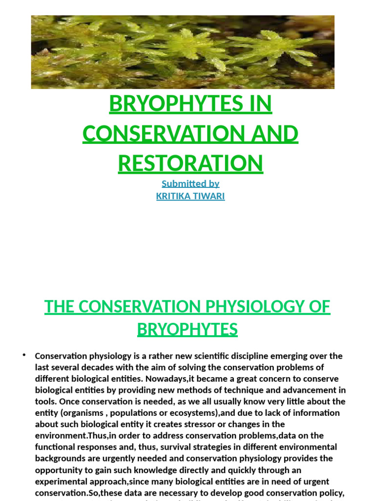 Bryophytes in Conservation and Restoration | PDF | Conservation Biology ...