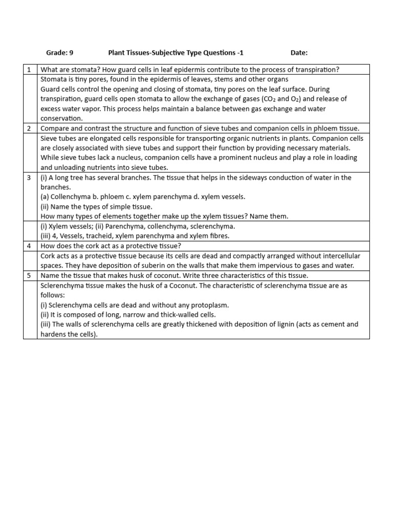 Tissues Subjective Type Questions | PDF | Tissue (Biology) | Plant Stem