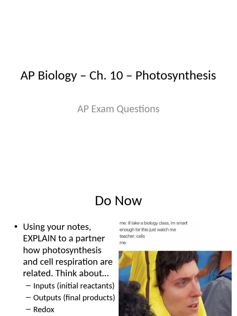 AP Biology Photosynthesis Prep | PDF | Photosynthesis | Chloroplast