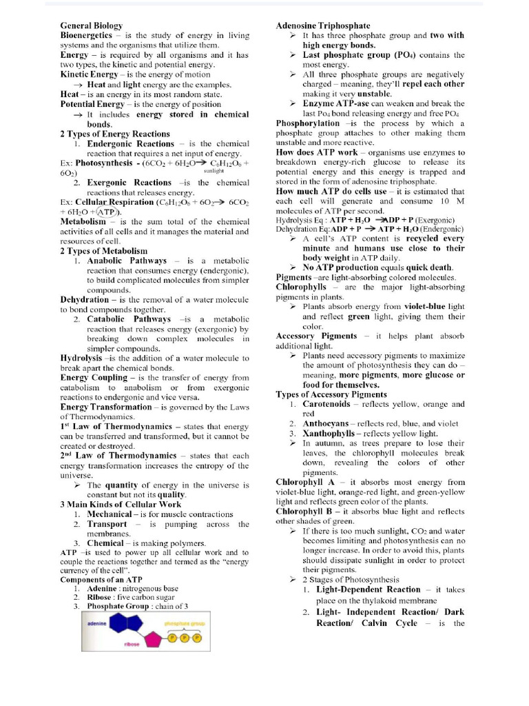Biology 2nd Quarter Exam | PDF