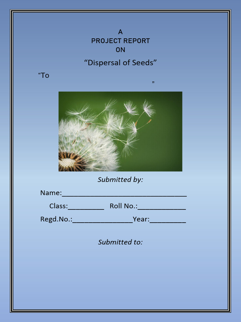 Seed Dispersal Mechanisms Explained | PDF | Plants | Botany