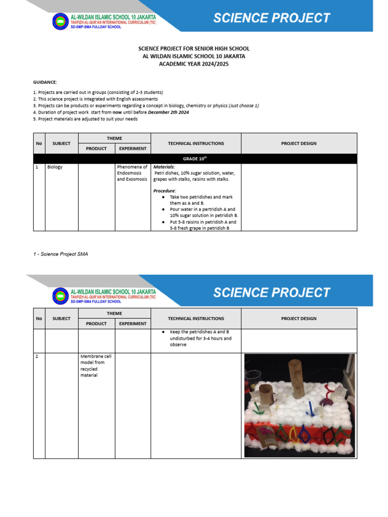 Science Project - Sma 24 - 25 | PDF | Electrical Network | Physical Sciences