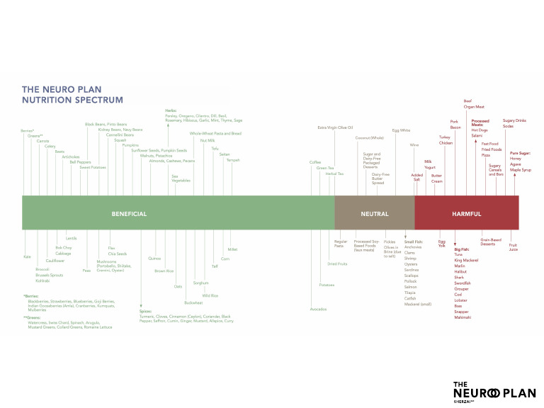 The NEURO Plan Nutrition Spectrum | PDF