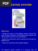 Digestive System Physiology | PDF | Digestion | Stomach