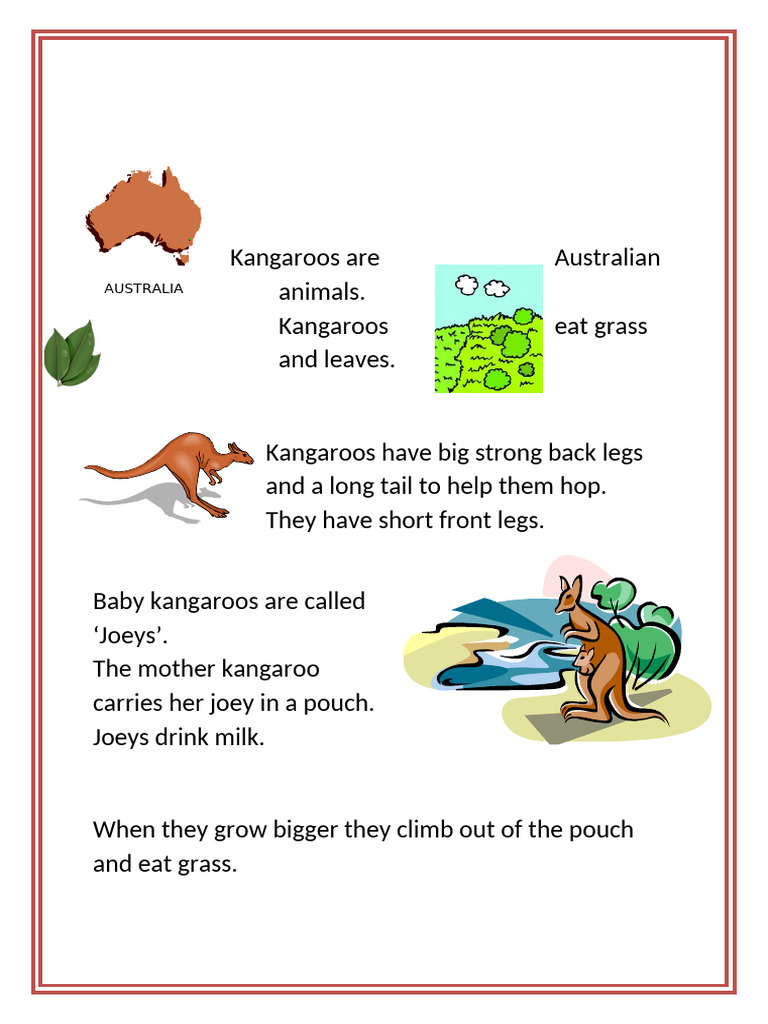 Kangaroos Easy Fun Activities Games 1542 | PDF