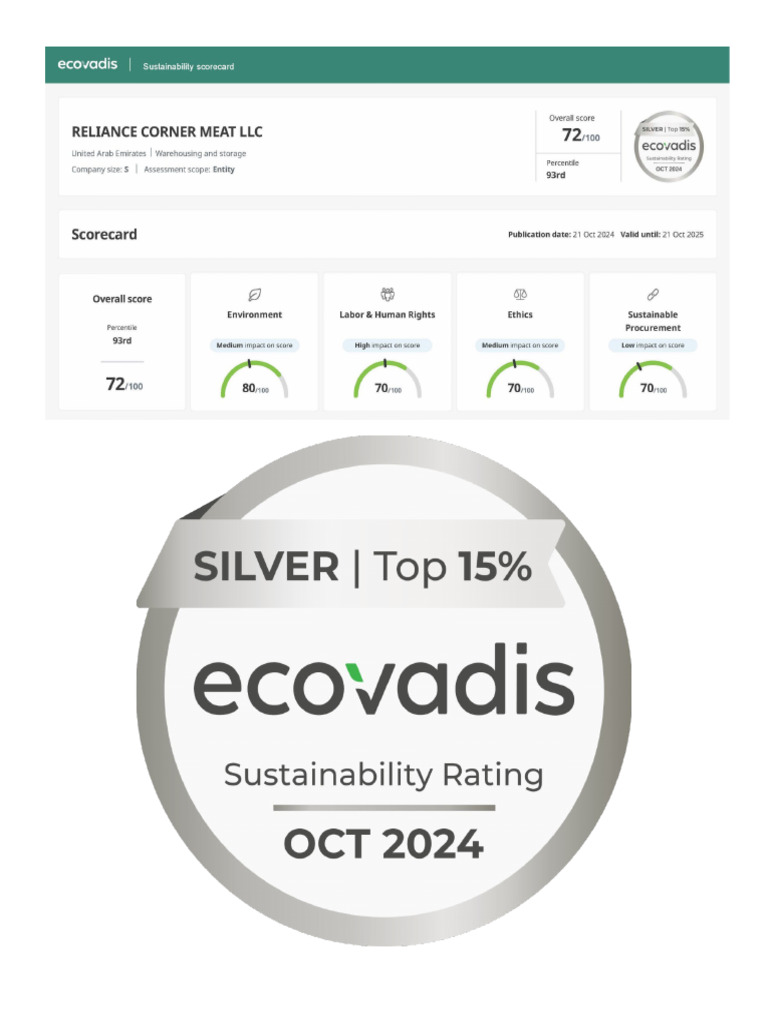 EcoVadis Scorecard | PDF