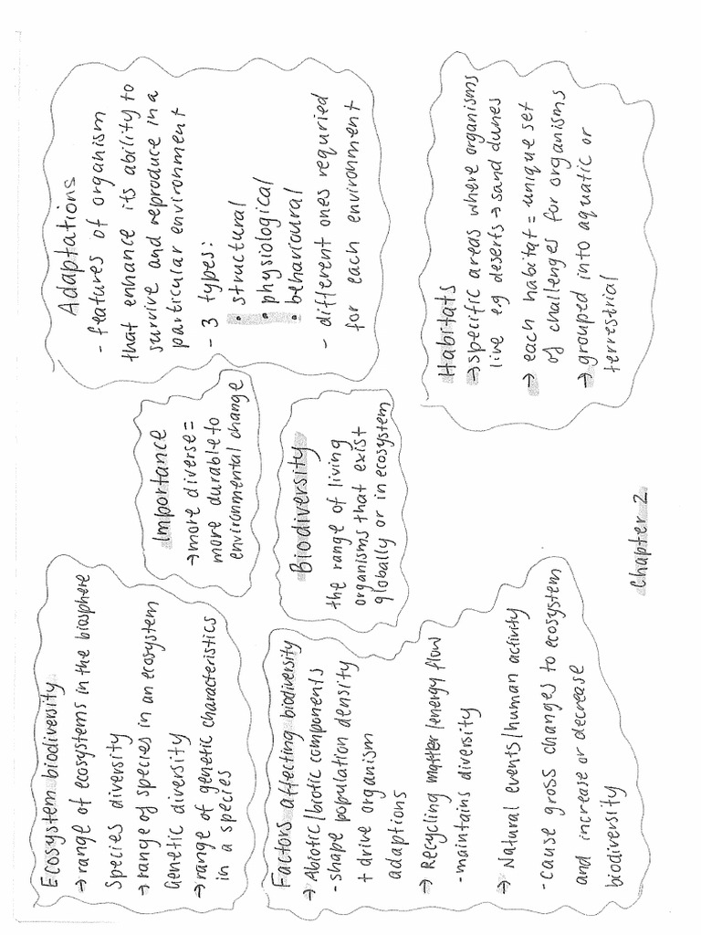 Concept Map Student Exemplar | PDF