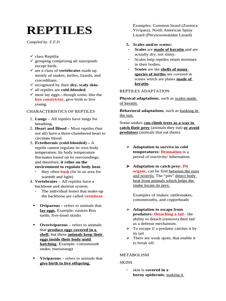 Report About Reptiles & Proferan_by_EED | PDF | Sponge | Reptile