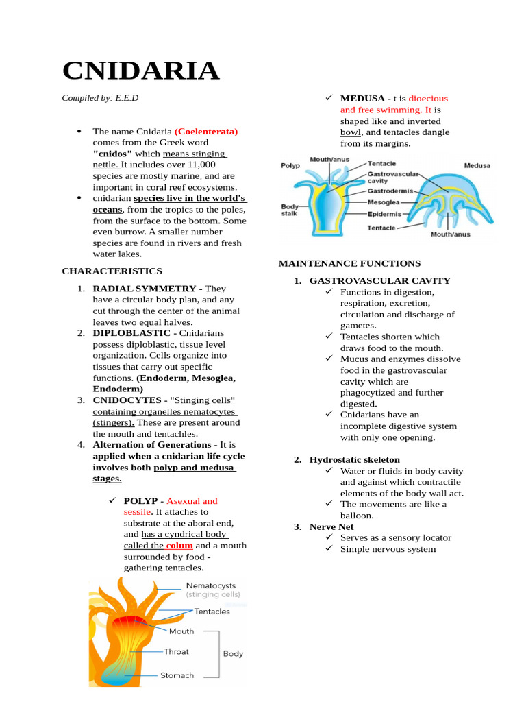 Marine and Freshwater Cnidarians | PDF