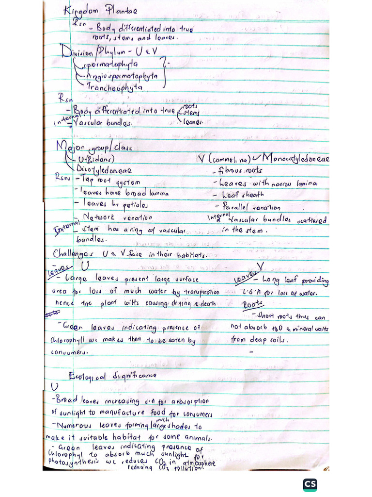 S6 Prac Bio Plantae 2024 | PDF
