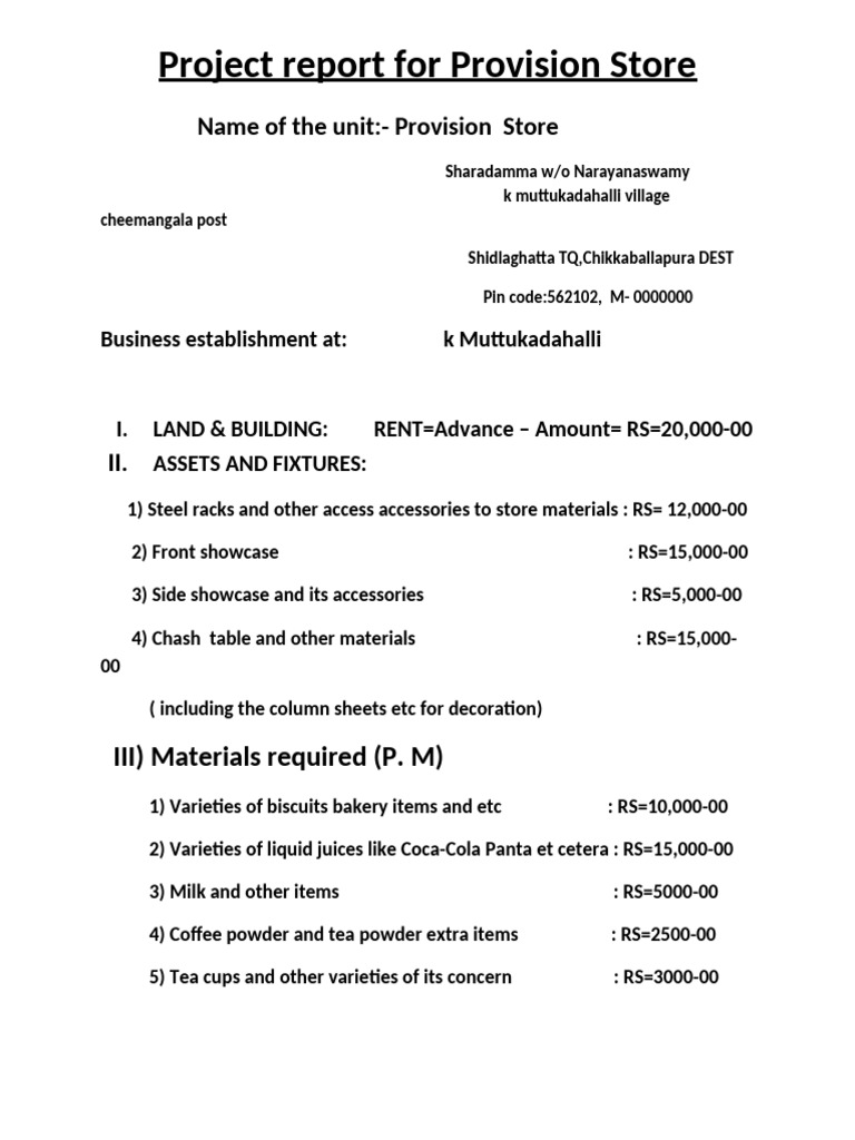 Provision Store Project Report | PDF