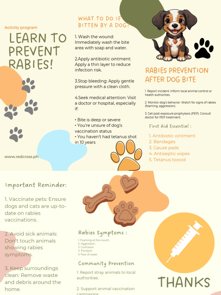 First Aid for Dog Bites and Rabies Prevention | PDF | Rabies | Clinical ...