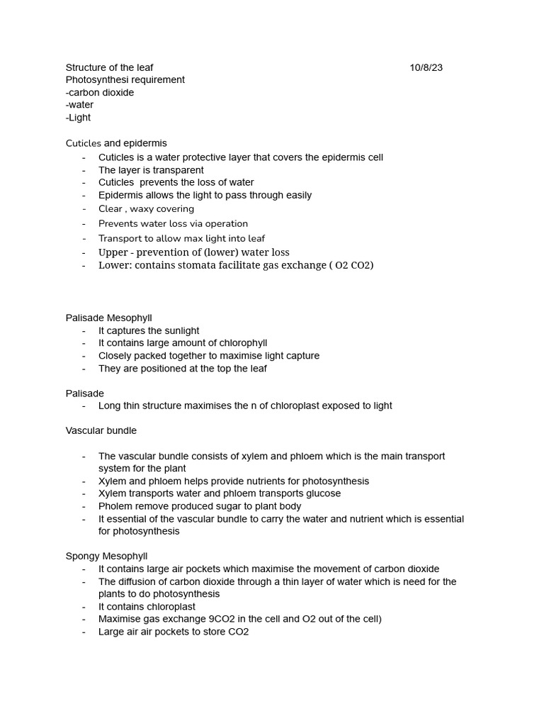 Bio Structure of Leaf | PDF