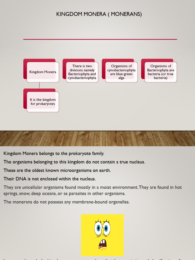 Kingdom Monera Lesson | PDF | Bacteria | Cell (Biology)