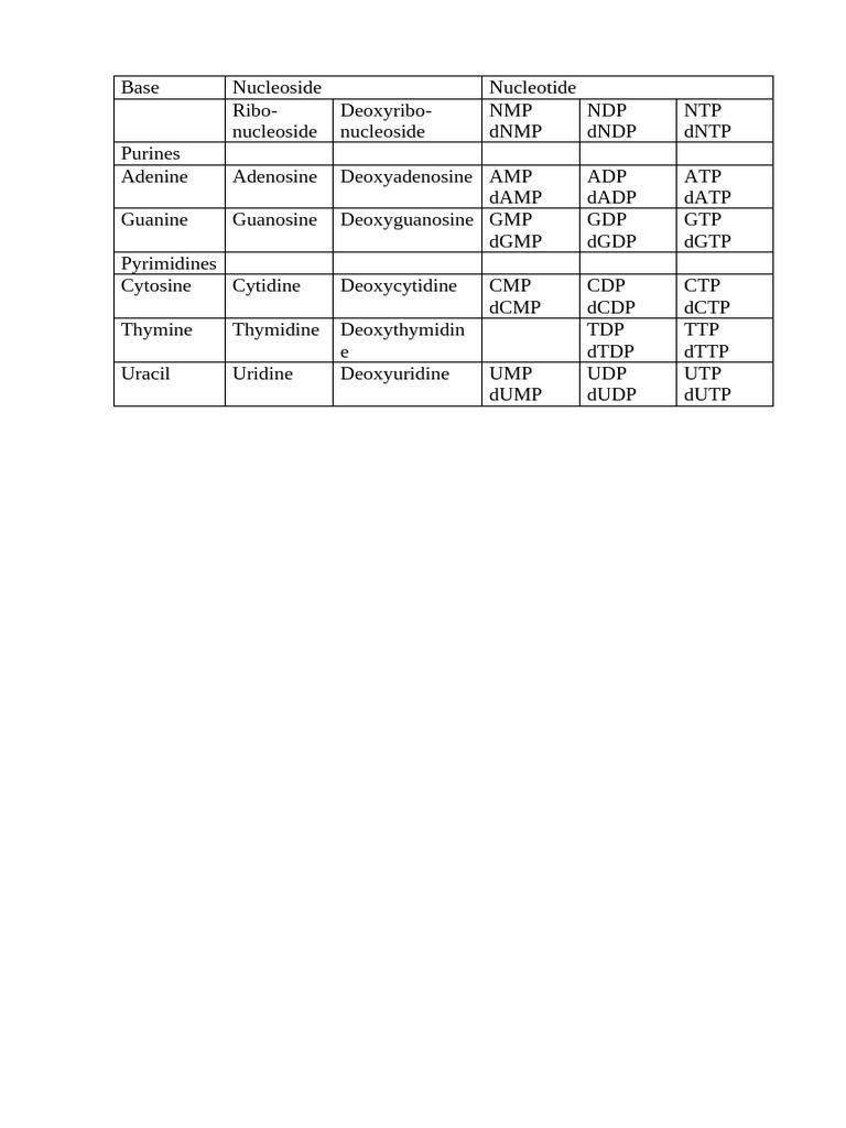 Base | PDF