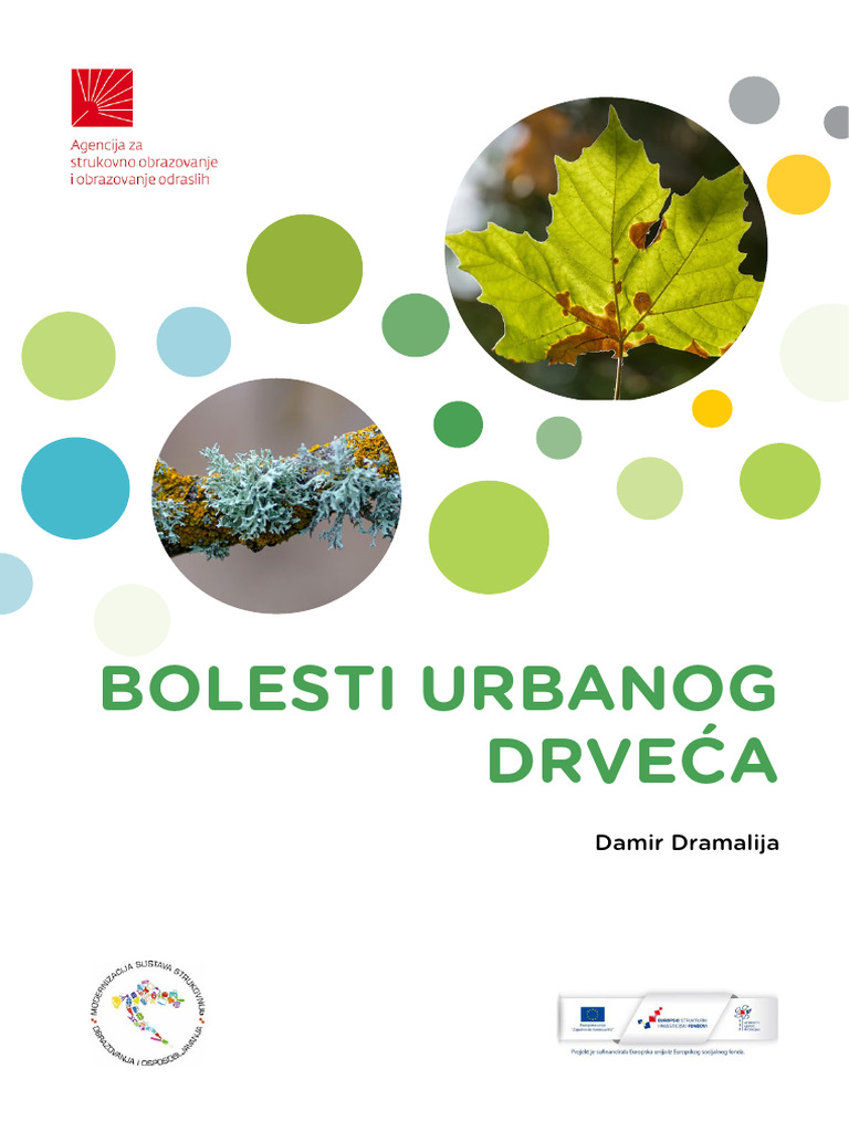 G4 102 Bolesti Urbanog Drveca FINALNO | PDF