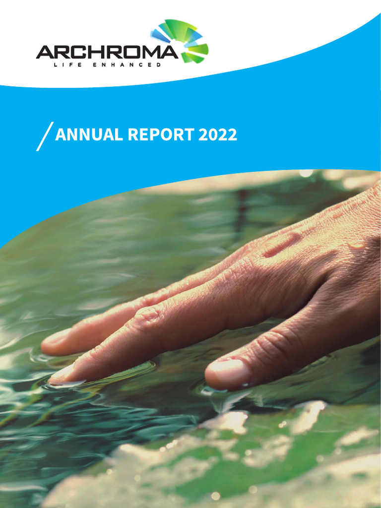Annual Report 2022 | PDF | Governance | Business