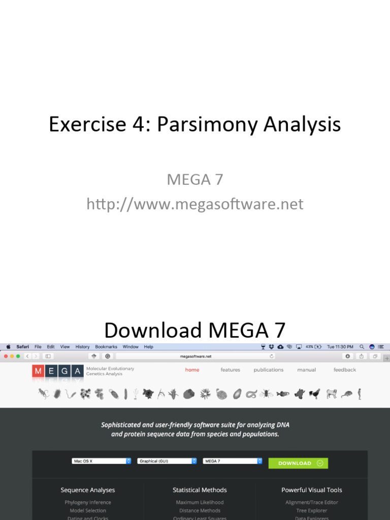 Ex 4 Parsimony Analysis | PDF