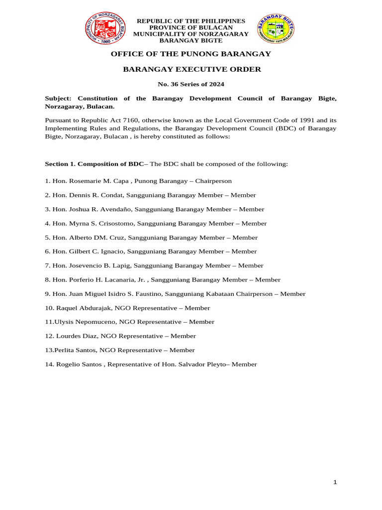 Template 1 - Constitution of The Barangay Development Council | PDF