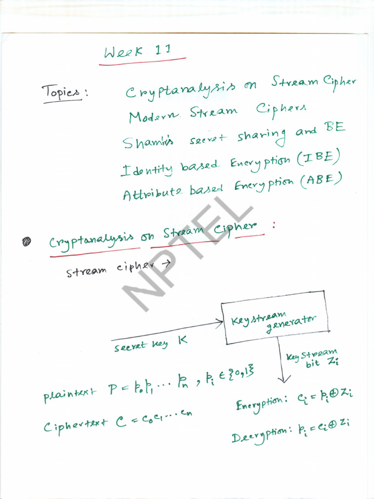 Wk11 Watermark | PDF