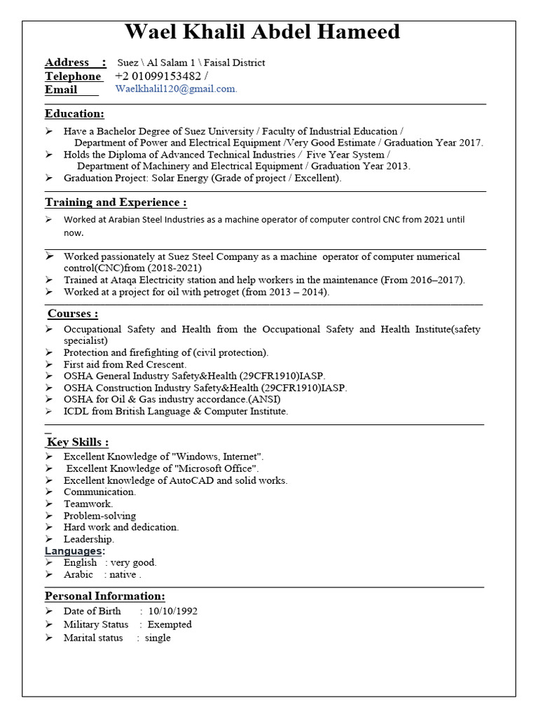 Wael Khalil Abdelhameed. CV | PDF