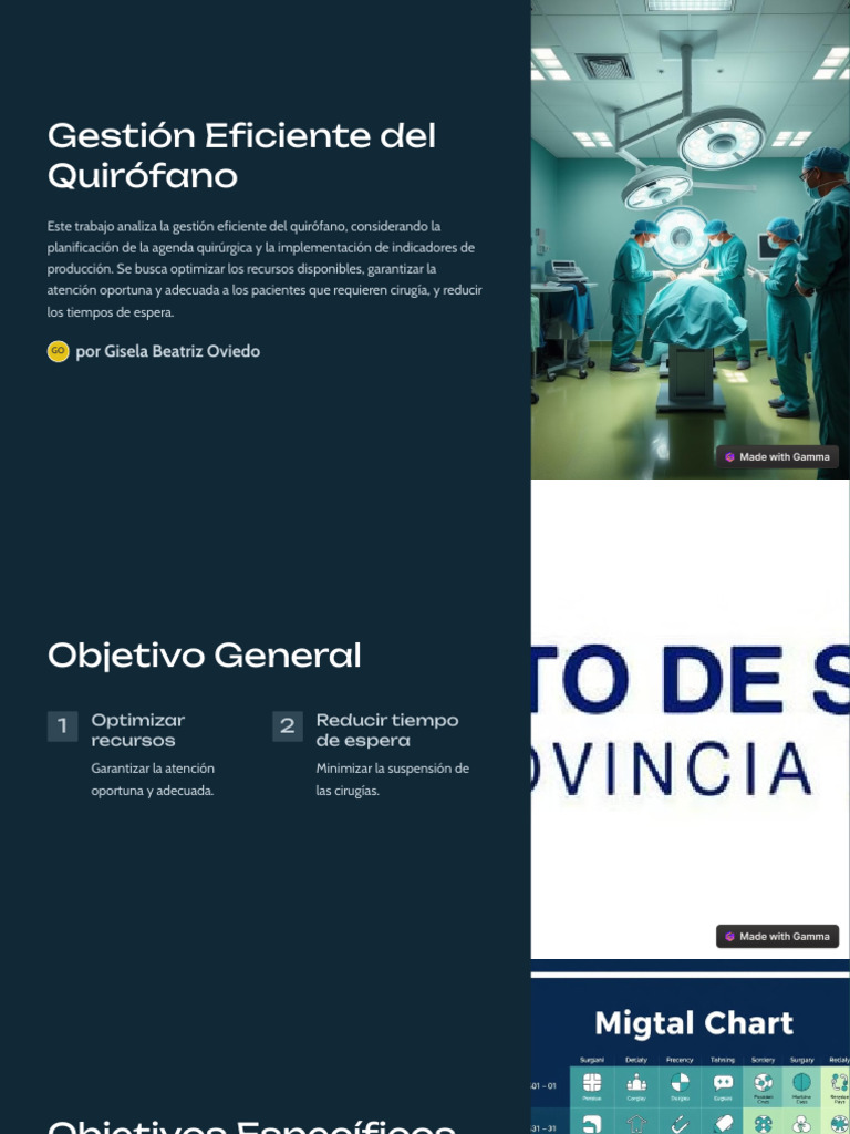 Gestion Eficiente Del Quirofano | PDF | Planificación | Hospital
