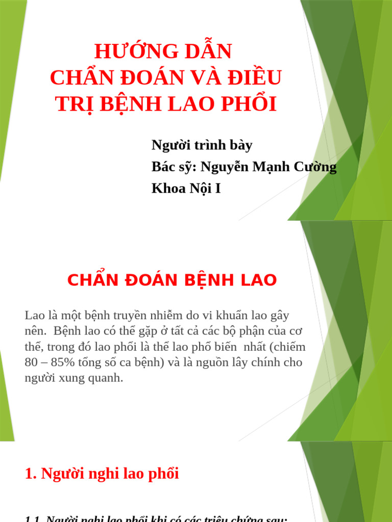 Bs Cuong Benh Lao Phoi | PDF