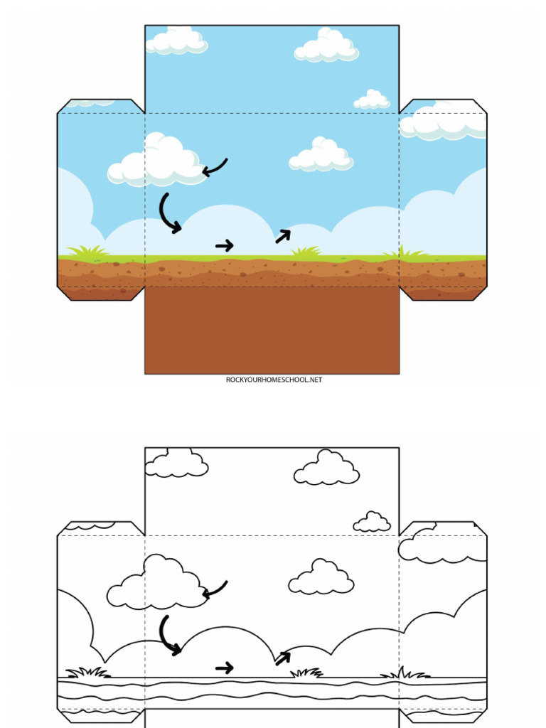 Life Cycle of Apple Diorama Pack | PDF