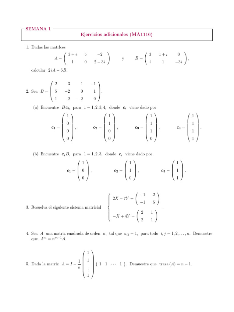 EJ Ad MA1116 Sem 1 | PDF | Matriz (Matemáticas) | Álgebra