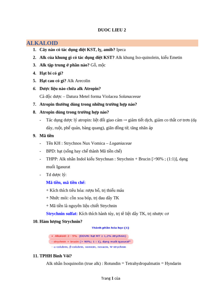 (DL2) 04.11.2024 | PDF