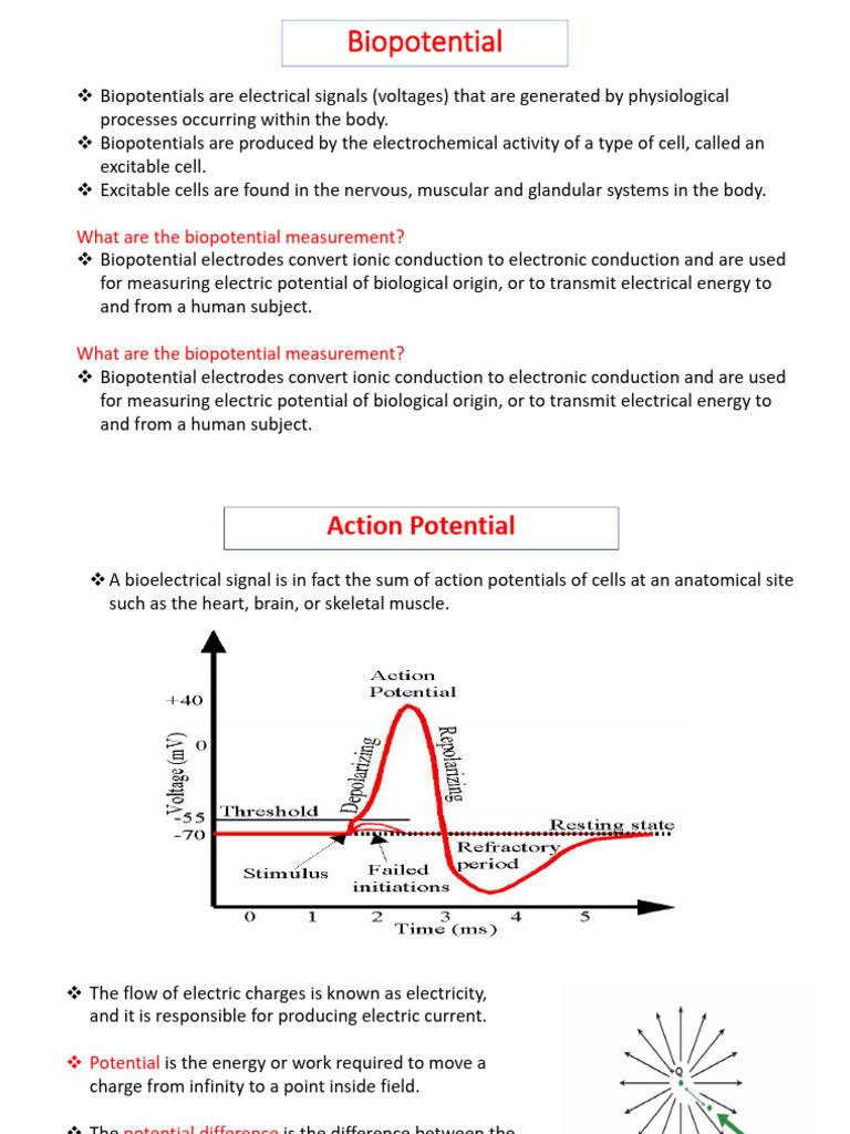 3 Action Potential PPT | PDF | Action Potential | Membrane Potential