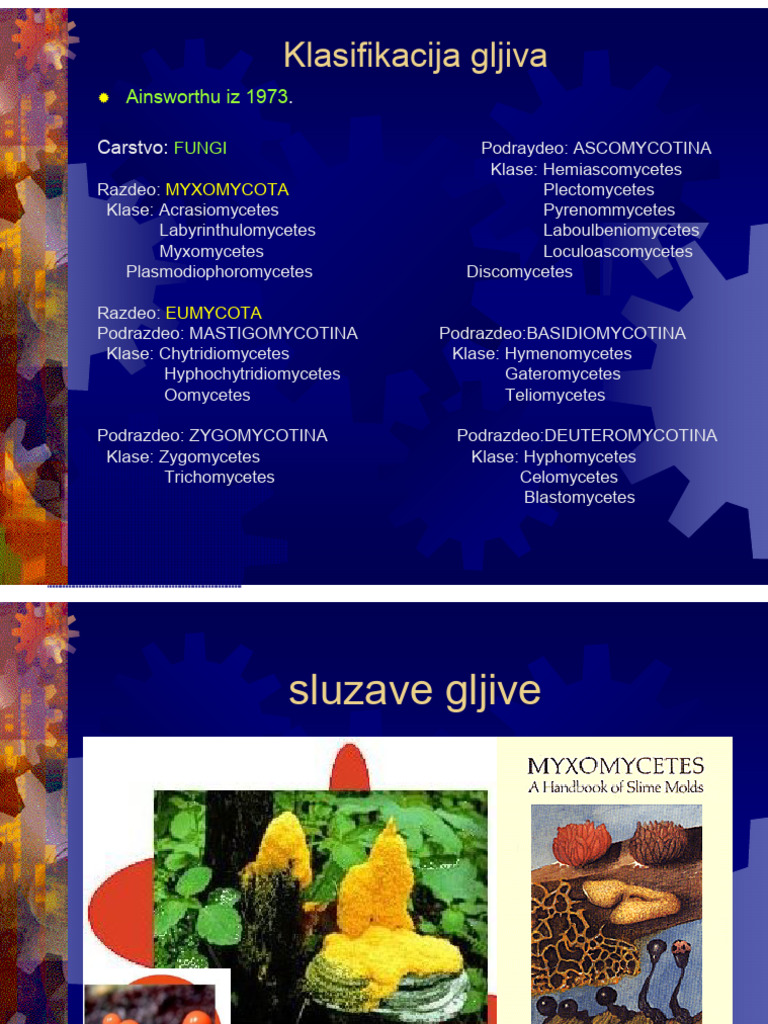 II Predavanje Oam Mikologija | PDF