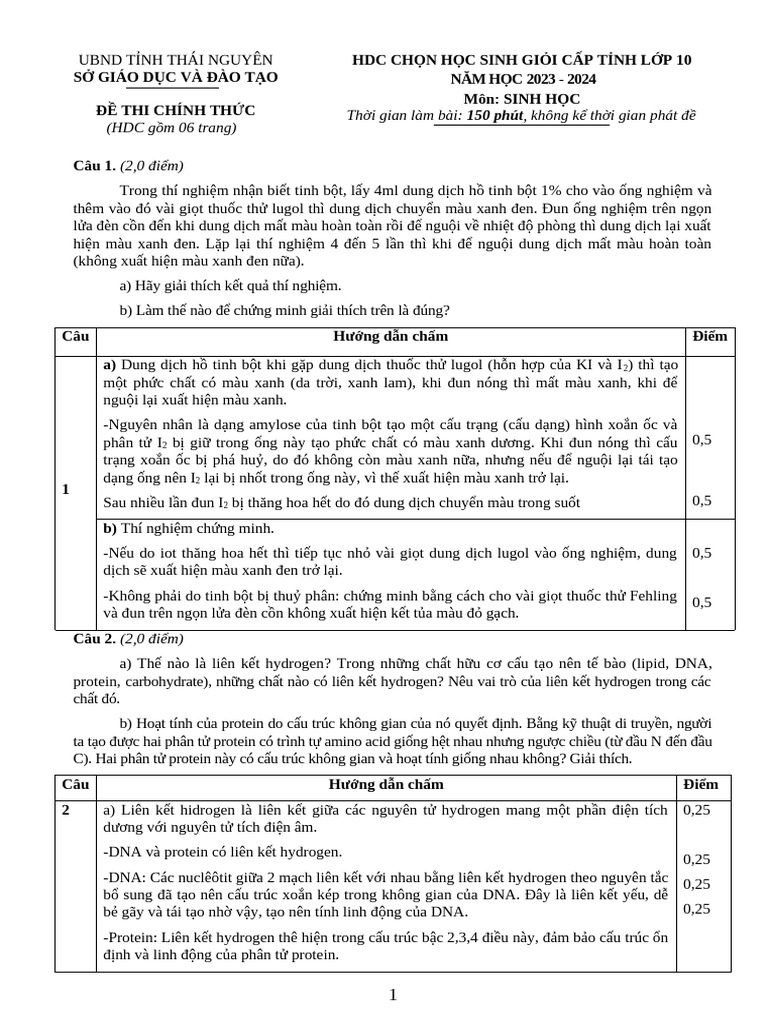 HDC HSG 10 (2023 2024) tỉnh TN | PDF